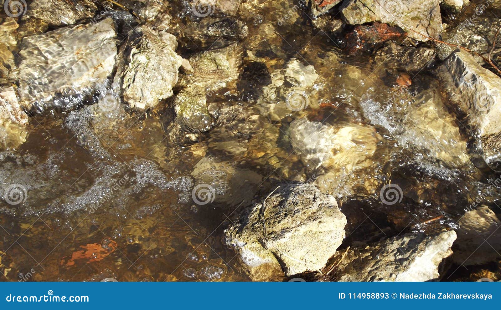 Spring Creek. stock image. Image of environment, white - 114958893