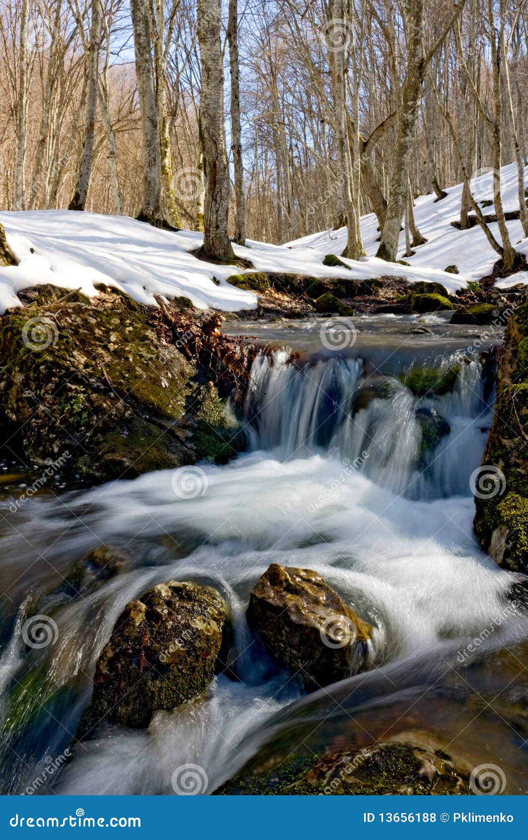 Spring stream in forest stock photo. Image of mountains - 13656188