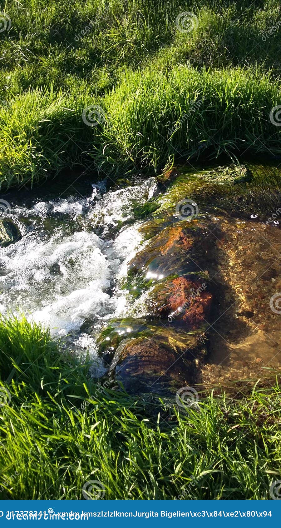 Spring stream stock image. Image of spring, pavasaris - 117378341