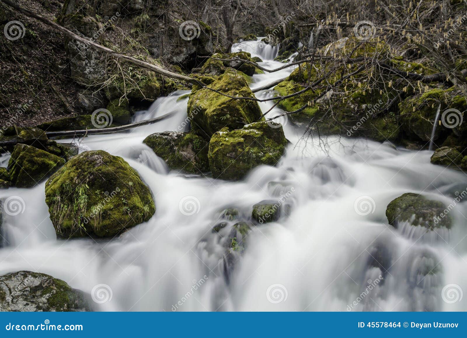 Spring Stream in the Mountain Stock Photo - Image of nature, europe ...