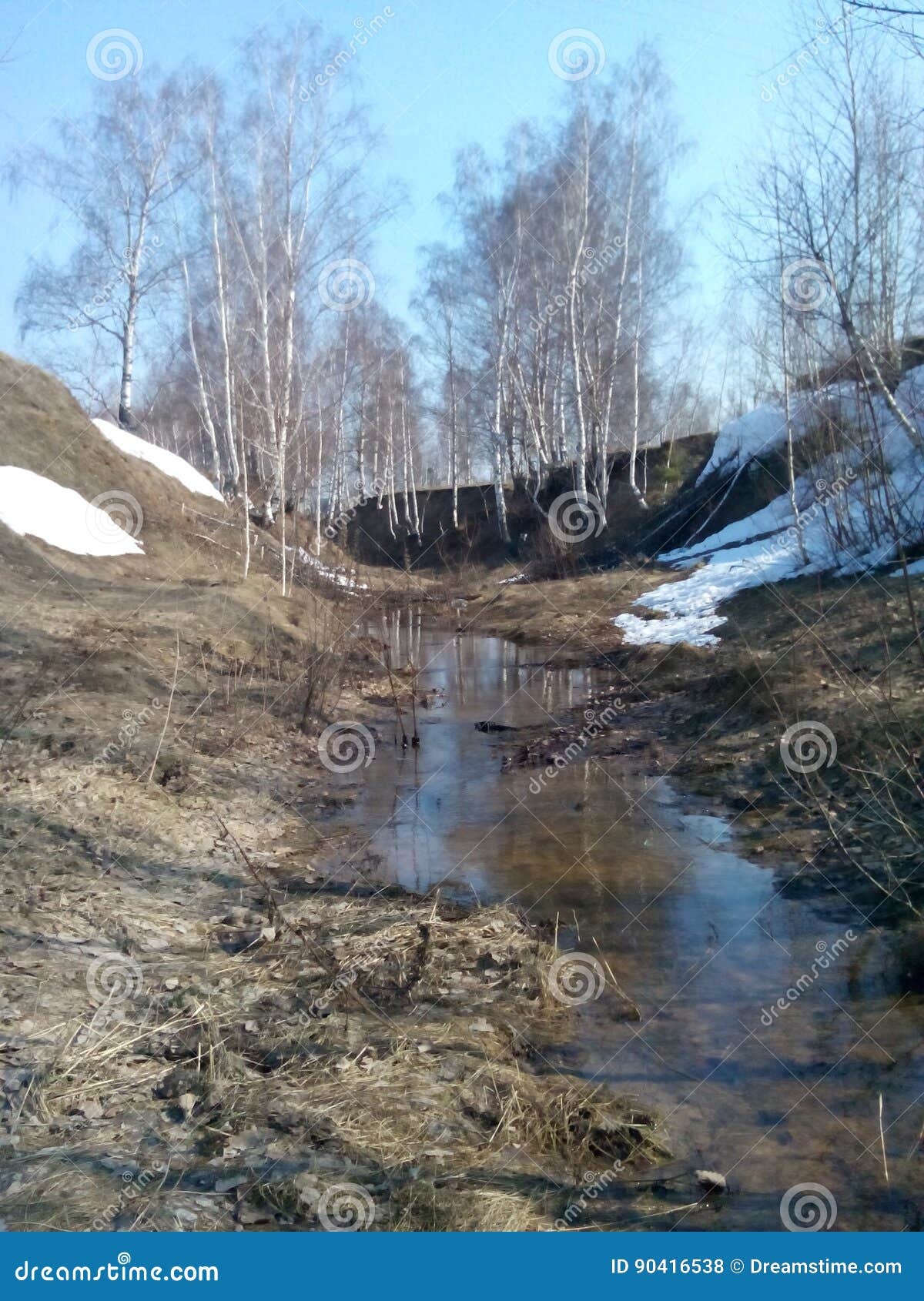 Spring stream stock photo. Image of snow, spring, ravine - 90416538