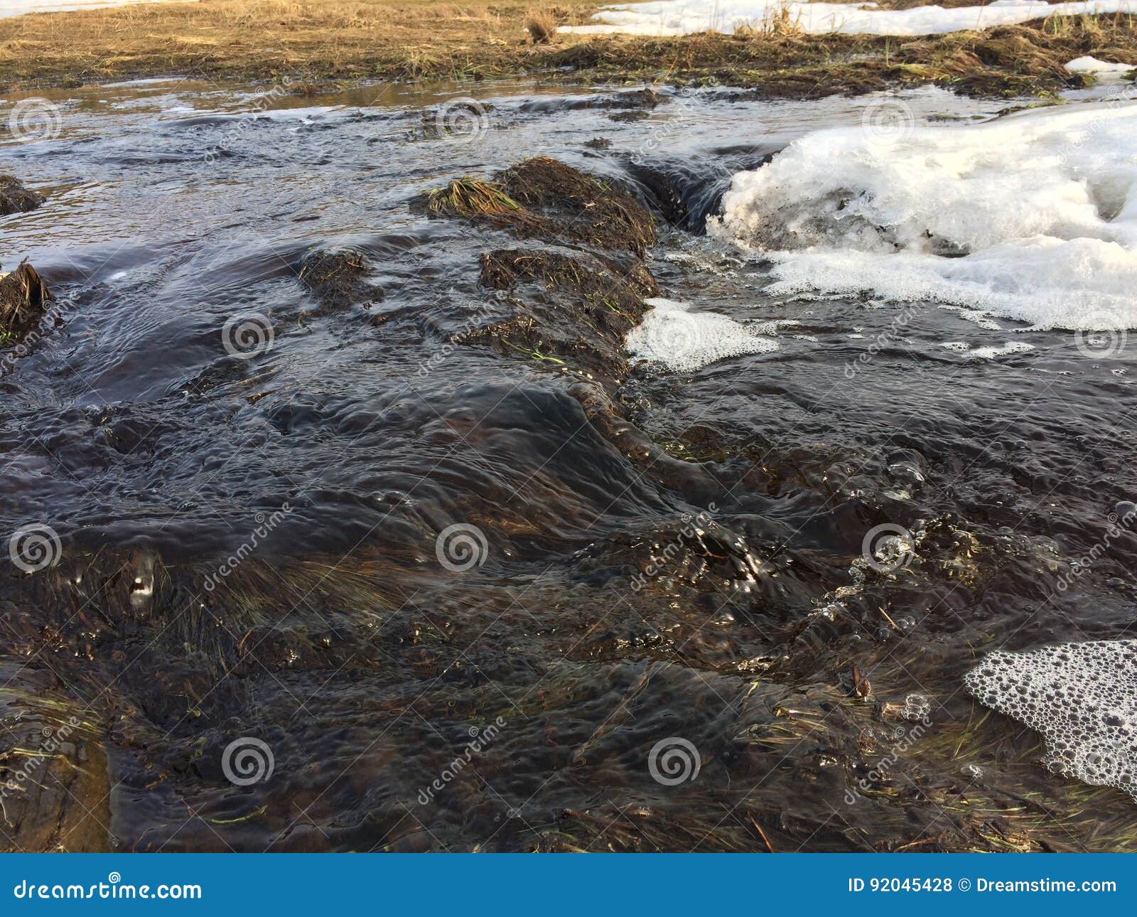 Spring streams stock photo. Image of spring, night, lingonberry - 92045428
