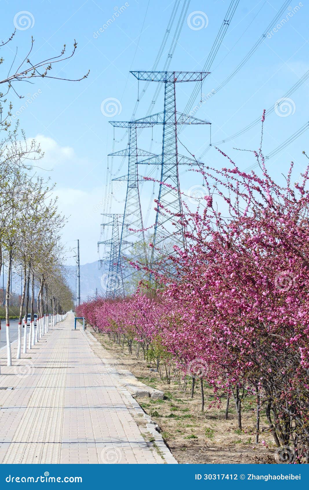 Spring street stock photo. Image of steel, energy, flowers - 30317412