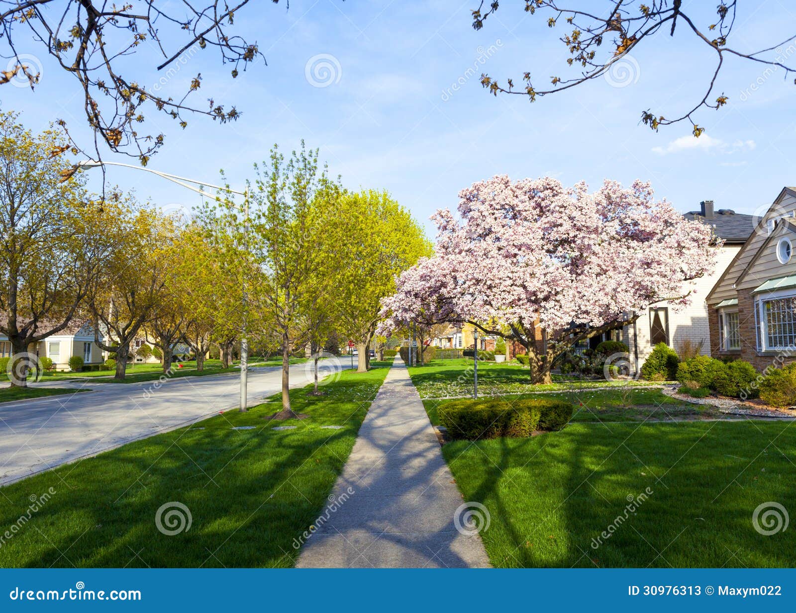 Spring in suburbs stock image. Image of chicago, flowers - 30976313