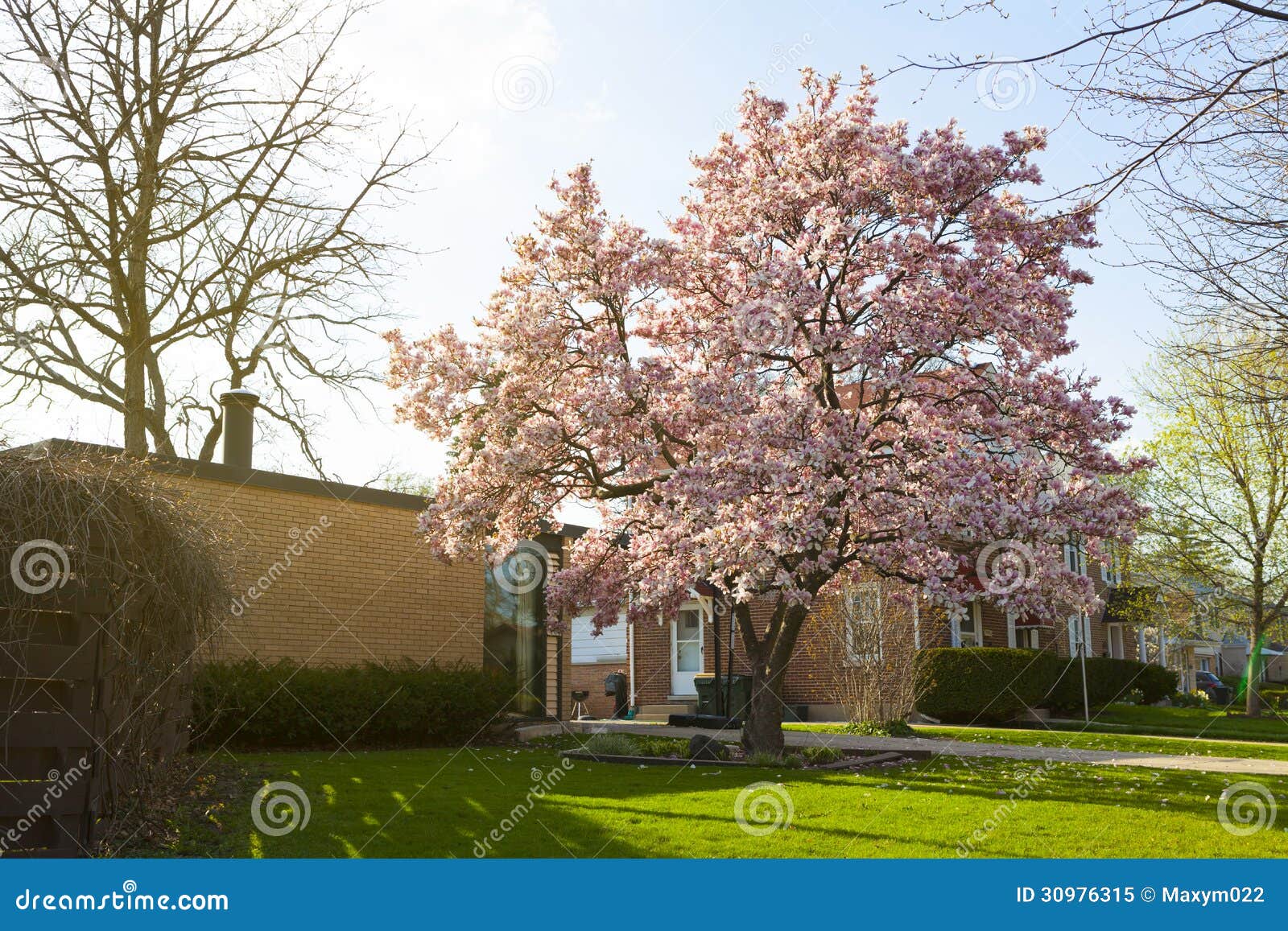 Spring in suburbs stock image. Image of dream, side, blue - 30976315