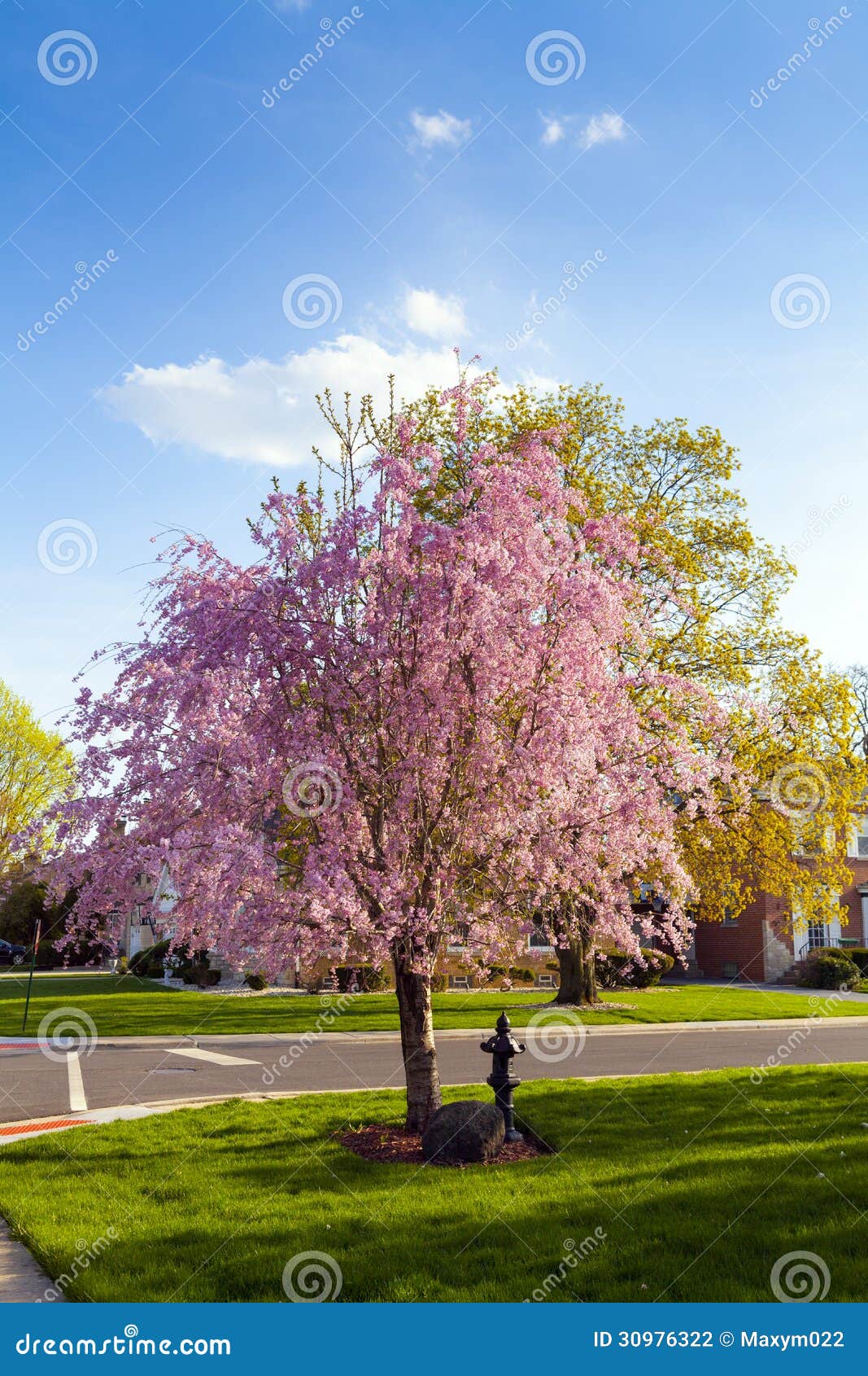 Spring in suburbs stock photo. Image of american, chicago - 30976322