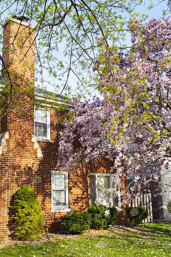 Spring in suburbs stock image. Image of stone, residents - 30976329