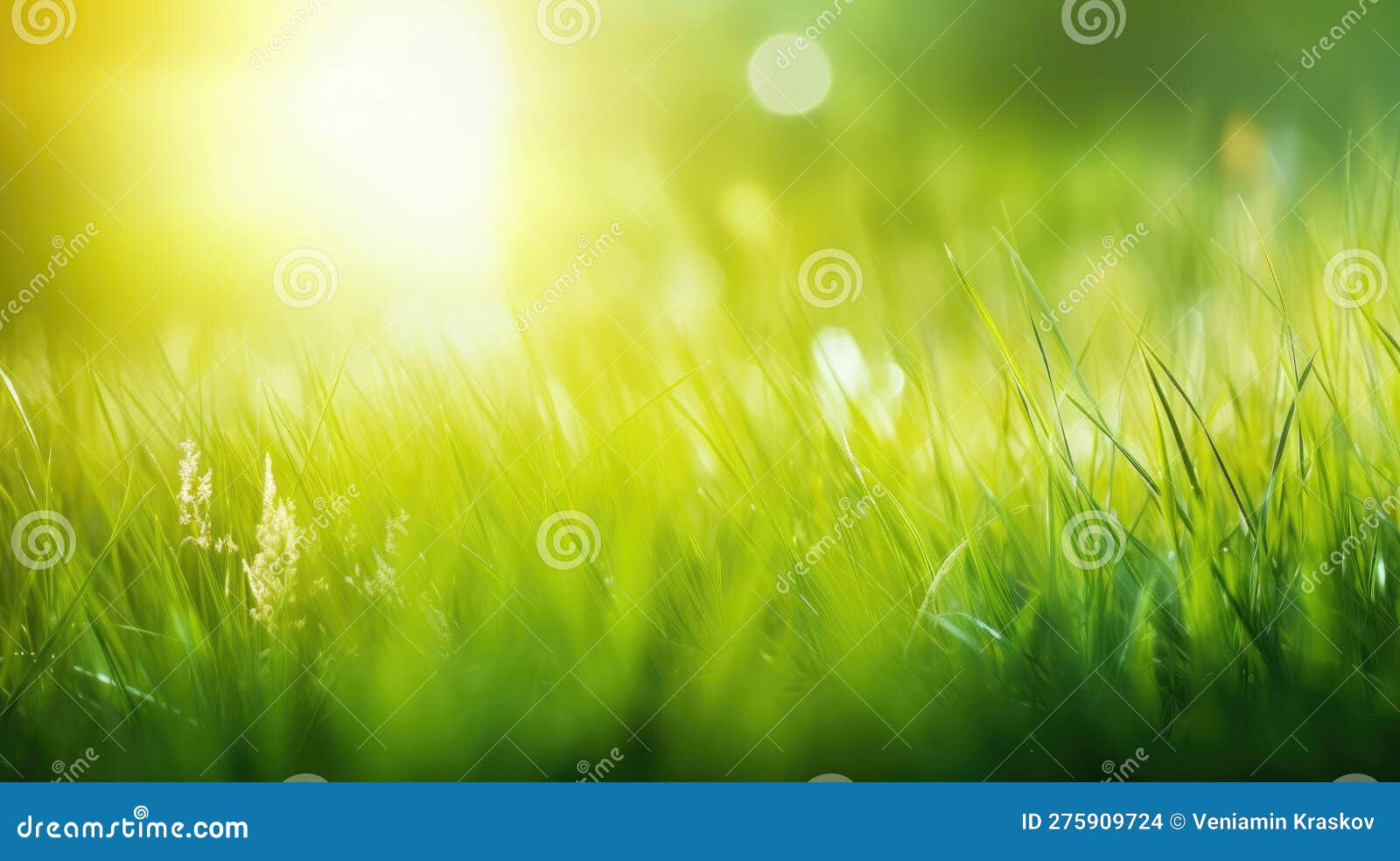 Spring and Summer Background and Sun Flare Stock Illustration ...