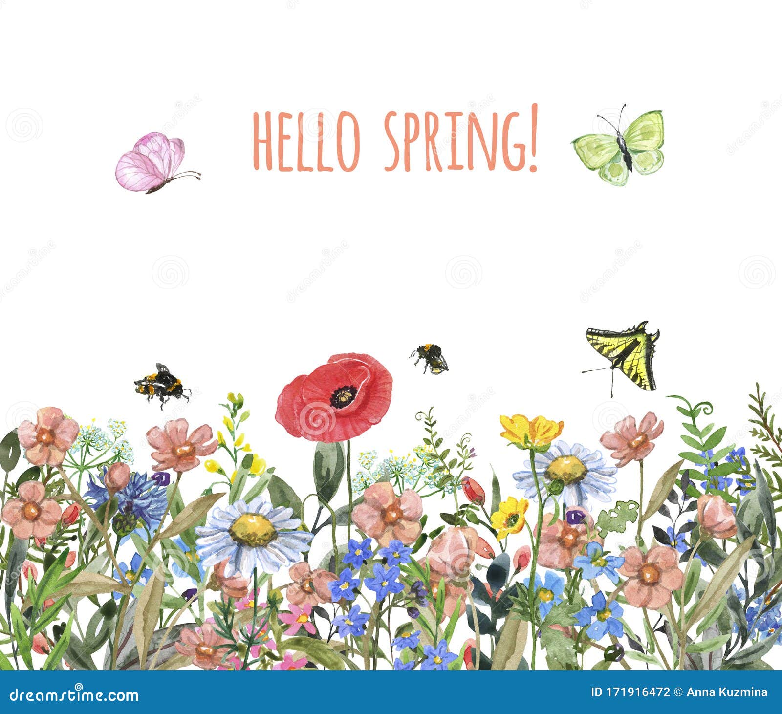 Spring or Summer Flowers Border,isolated on White Background ... Spring or Summer Flowers Border,isolated on White Background ...