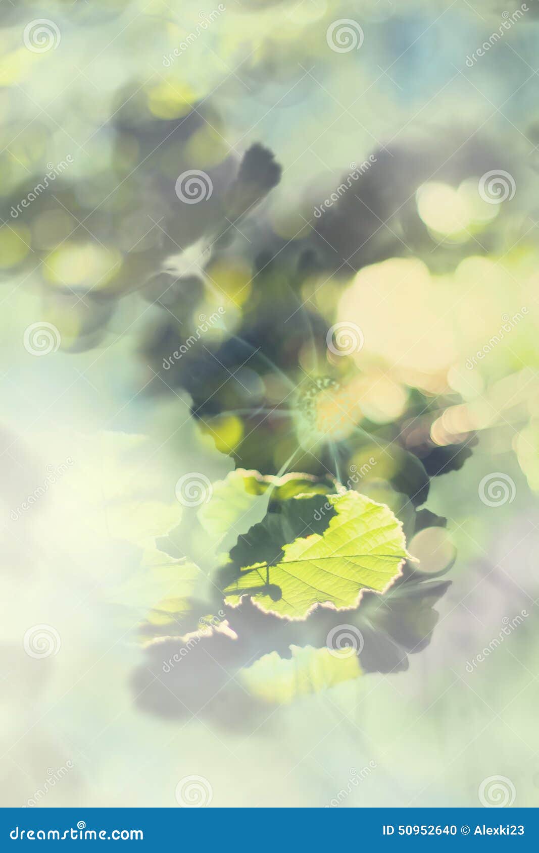 Spring/Summer stock photo. Image of leaves, concept, pastel - 50952640