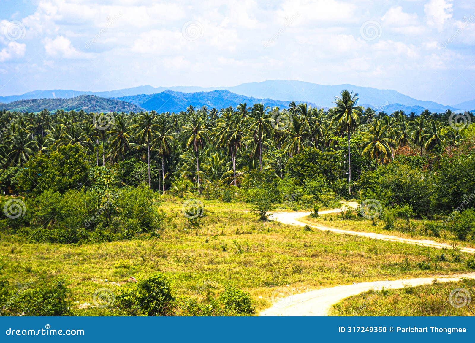Spring Summer Landscape with Curved Rural Road Stock Photo - Image of ...