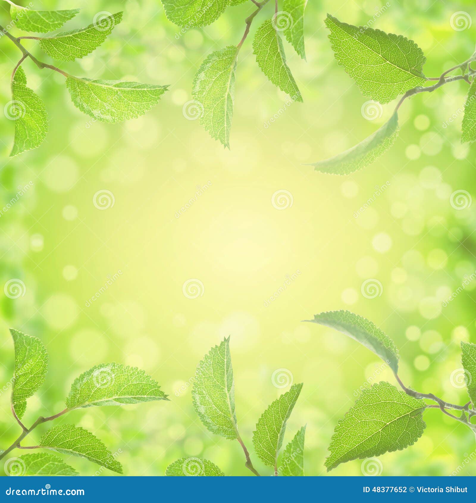 Spring Summer Leaves Background with Sun Light and Bokeh Stock Photo ...