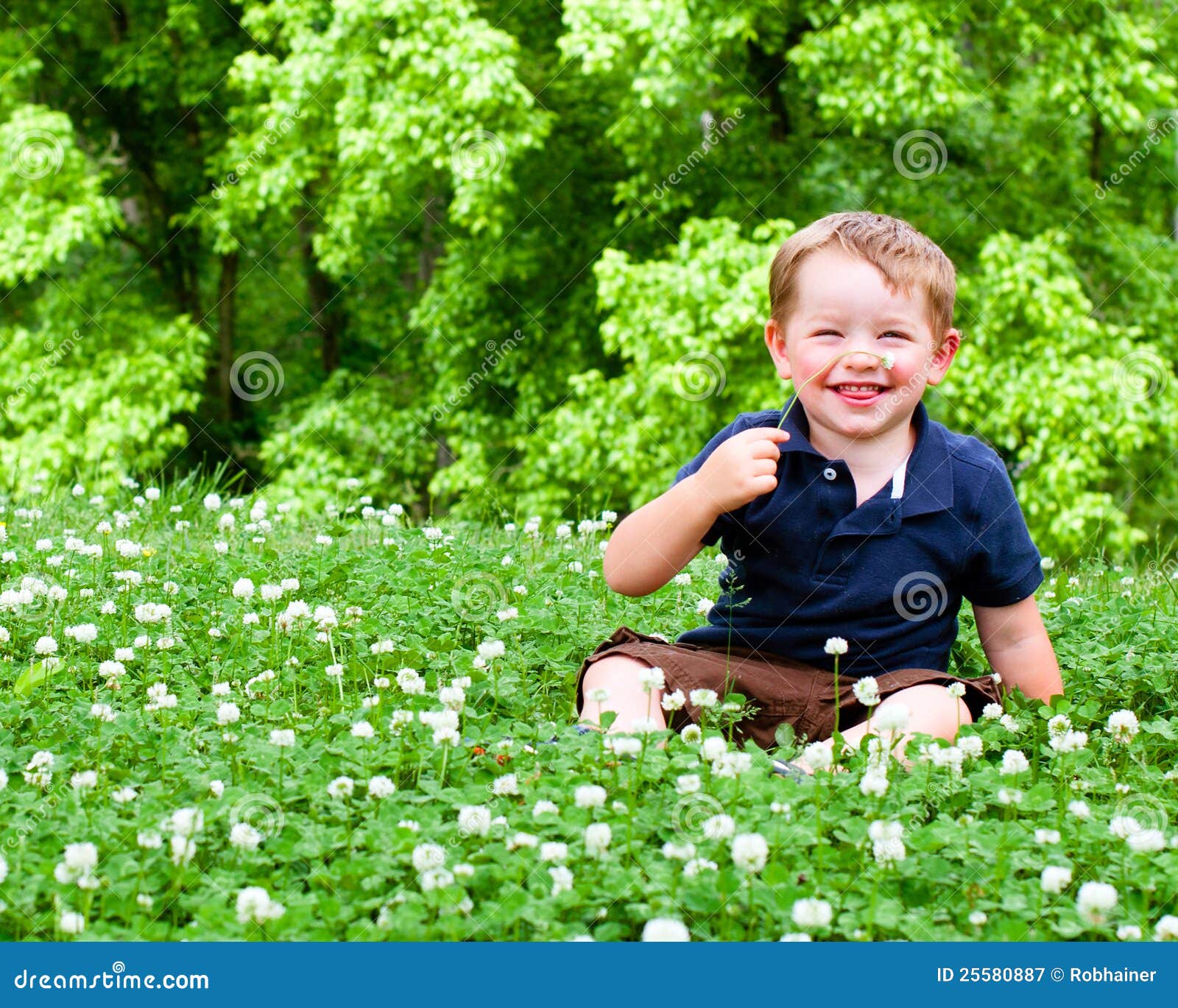 Spring or Summer Portrait of Cute Young Boy Stock Image - Image of ...