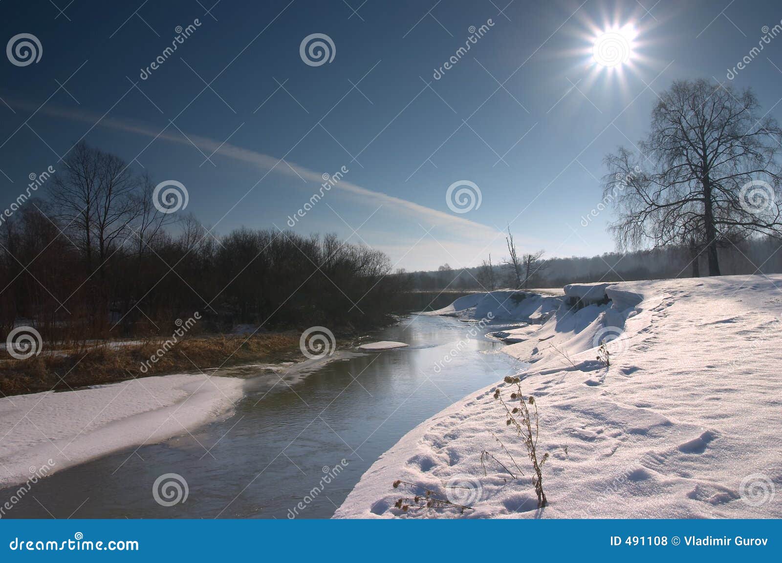 Spring sun stock photo. Image of plant, river, drift, spring - 491108