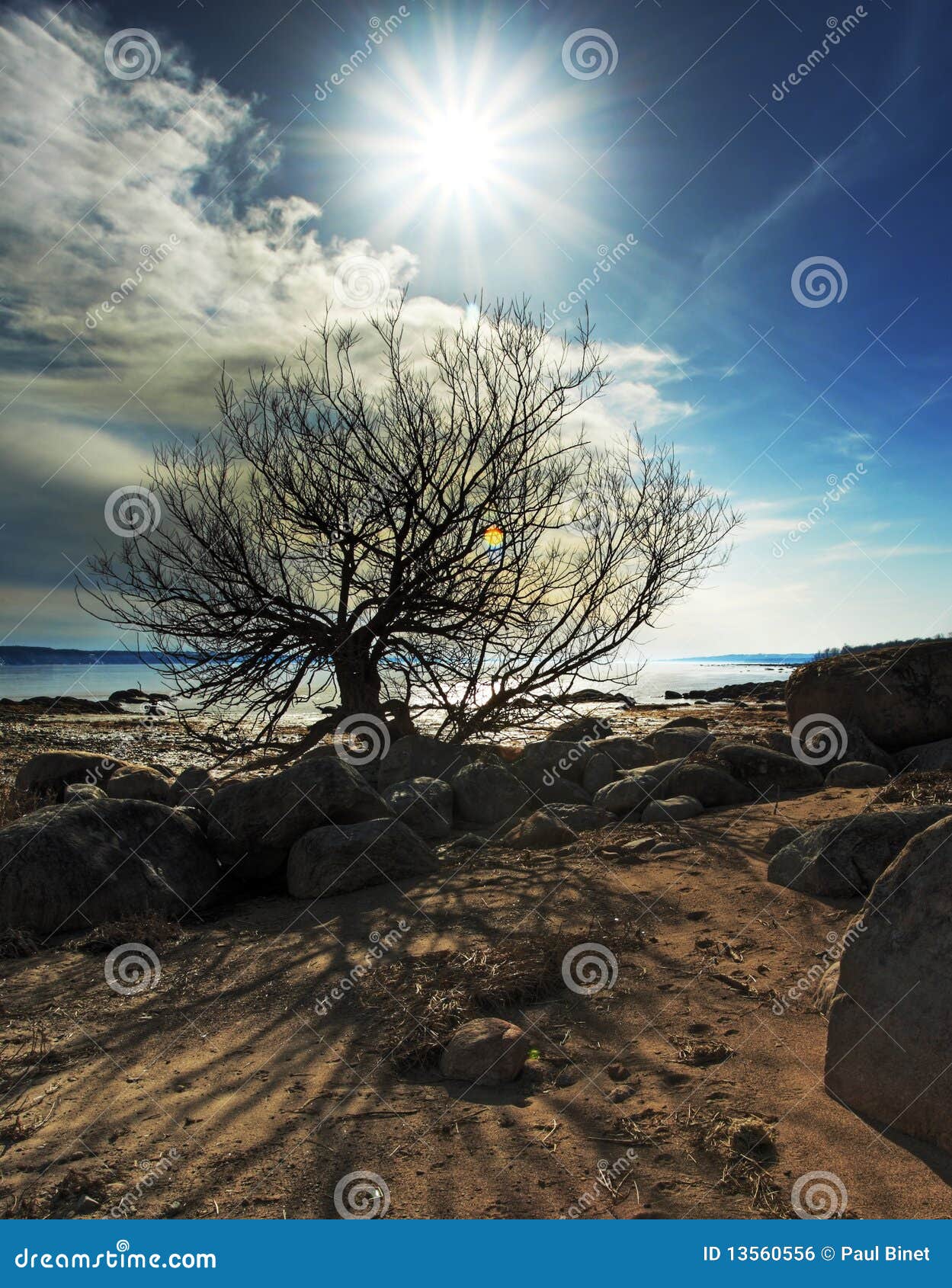 Spring sun landscape stock photo. Image of sand, solar - 13560556