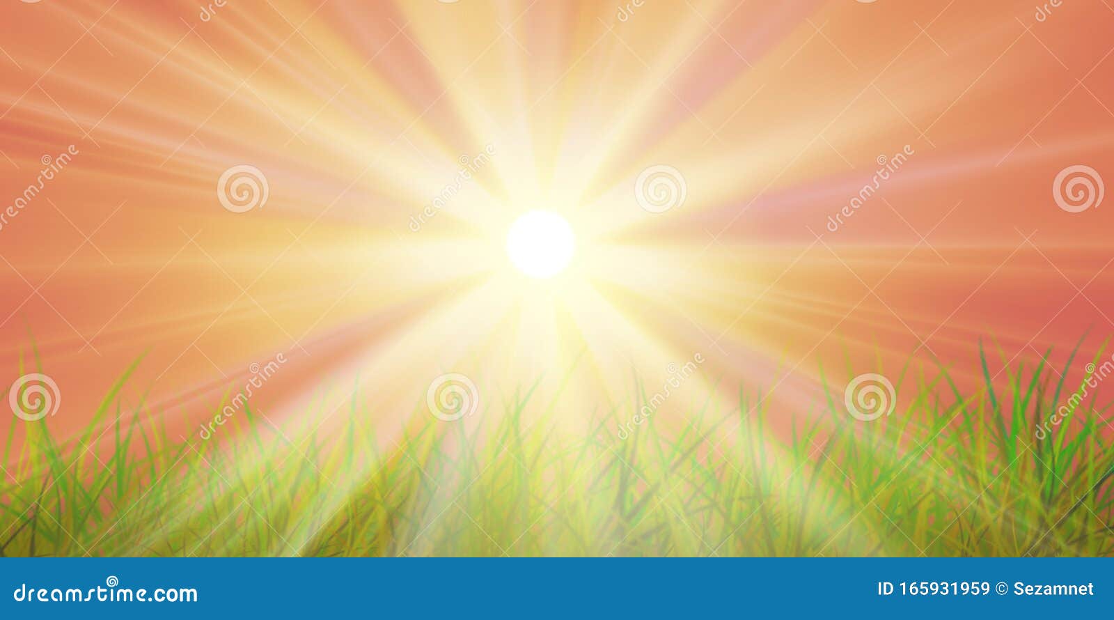 Spring Sun Rays Green Grass Pink Red Sky. Spring Landscape Stock ...