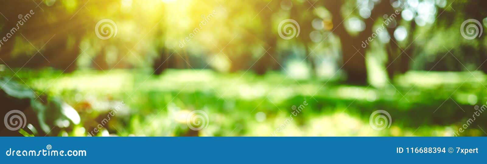 Spring Sunlight Blur Background Stock Photo - Image of landscape, blur ...