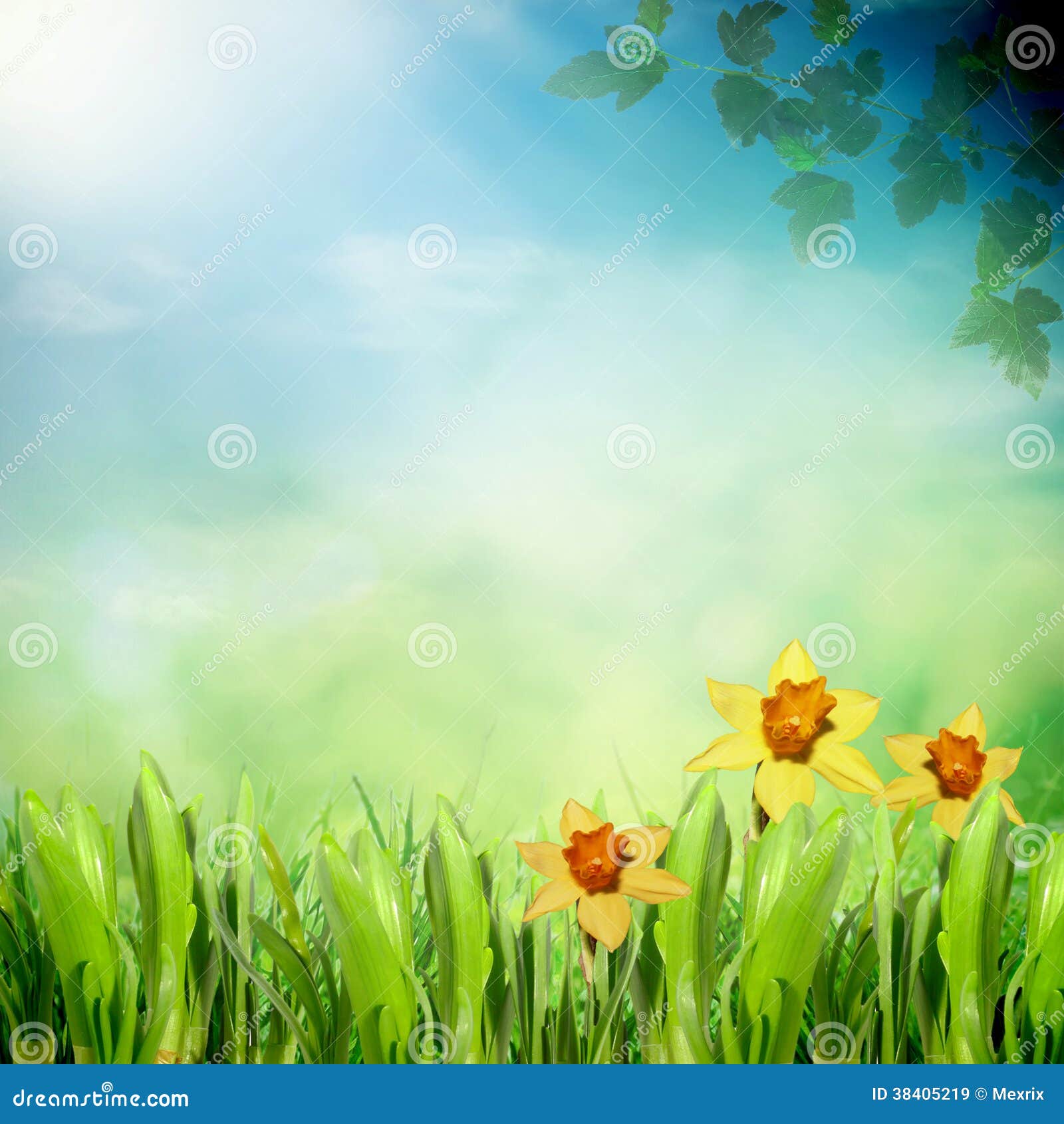 Spring sunny flower field stock image. Image of frame - 38405219