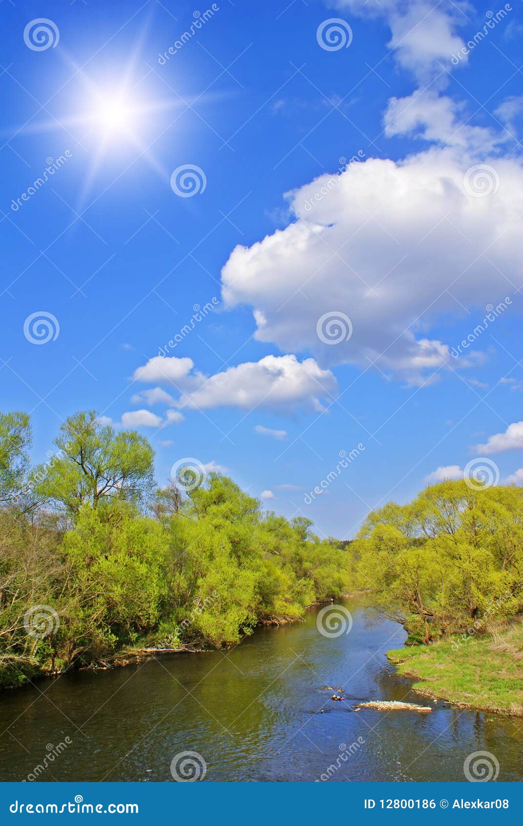Spring sunny landscape stock photo. Image of landscape - 12800186