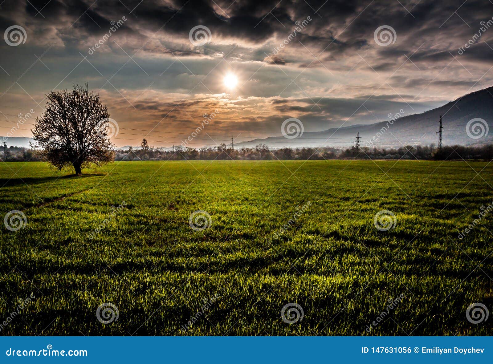 Spring sunrise stock photo. Image of wood, beautiful - 147631056