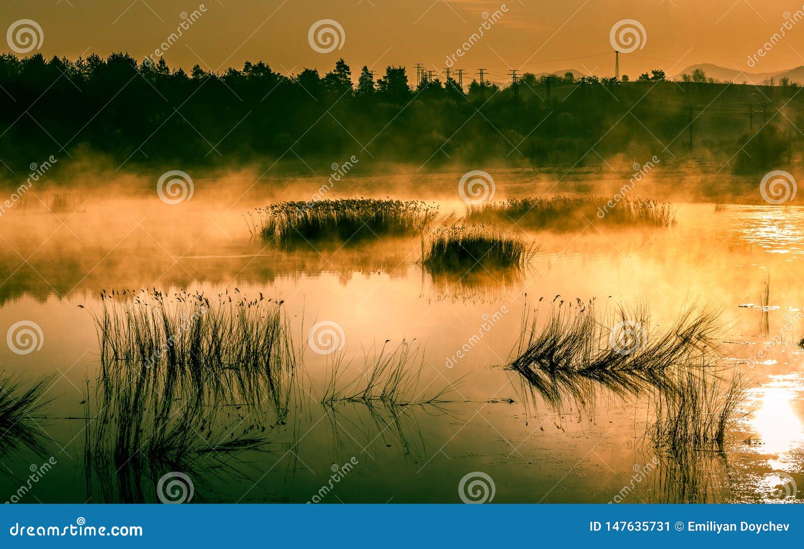 Spring sunrise stock image. Image of lake, beautiful - 147635731