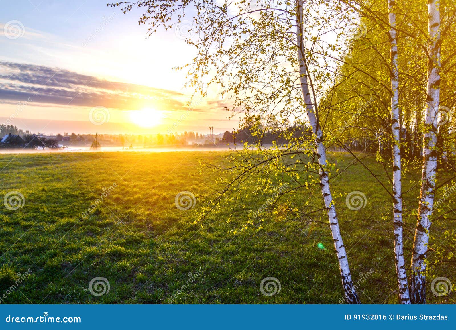 Spring sunrise stock photo. Image of spring, idylic, tourism - 91932816