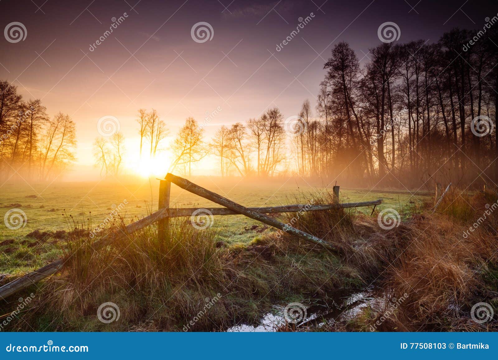 Spring sunrise landscape stock image. Image of tree, spring - 77508103