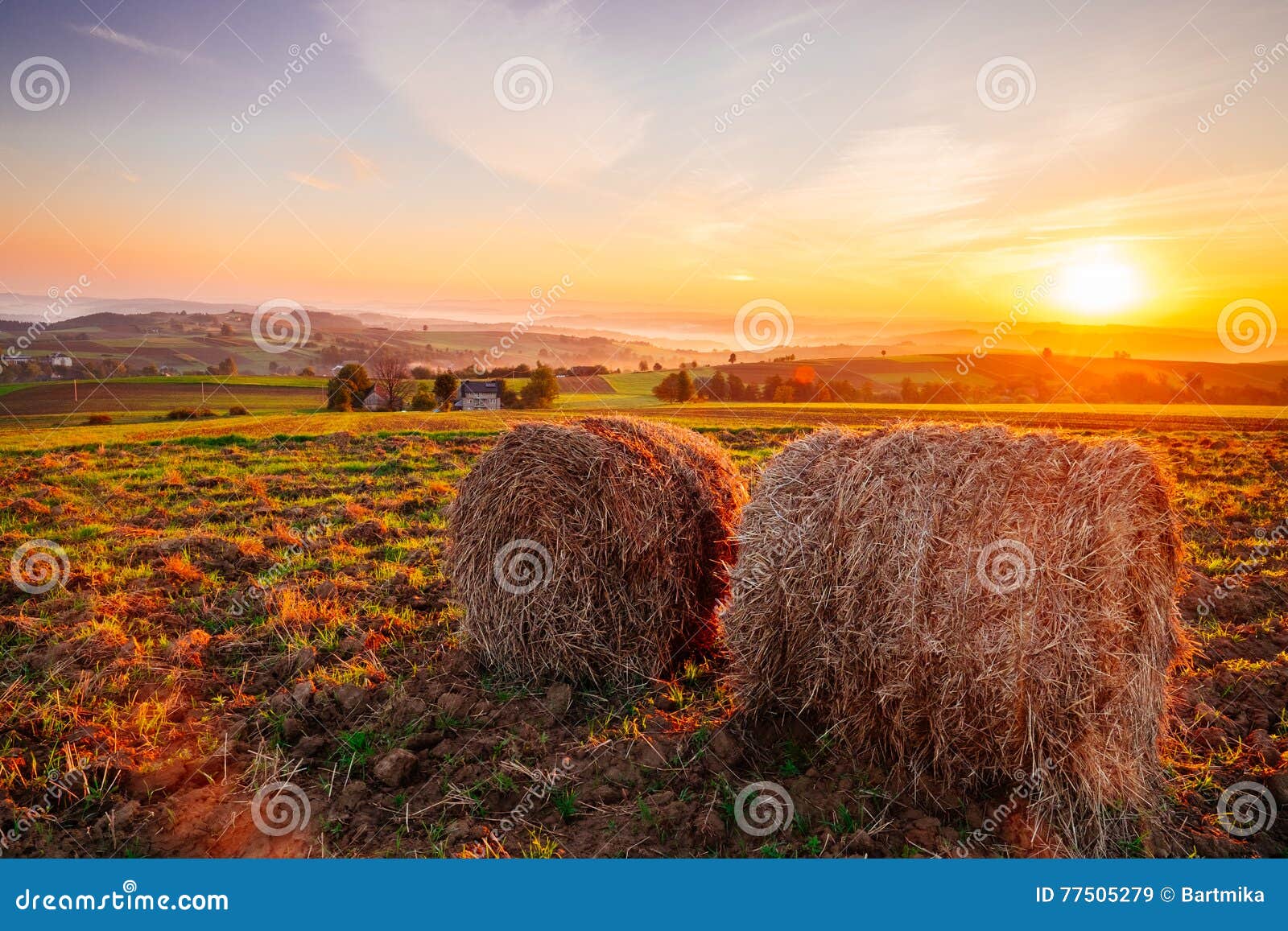 Spring sunrise landscape stock image. Image of straw - 77505279