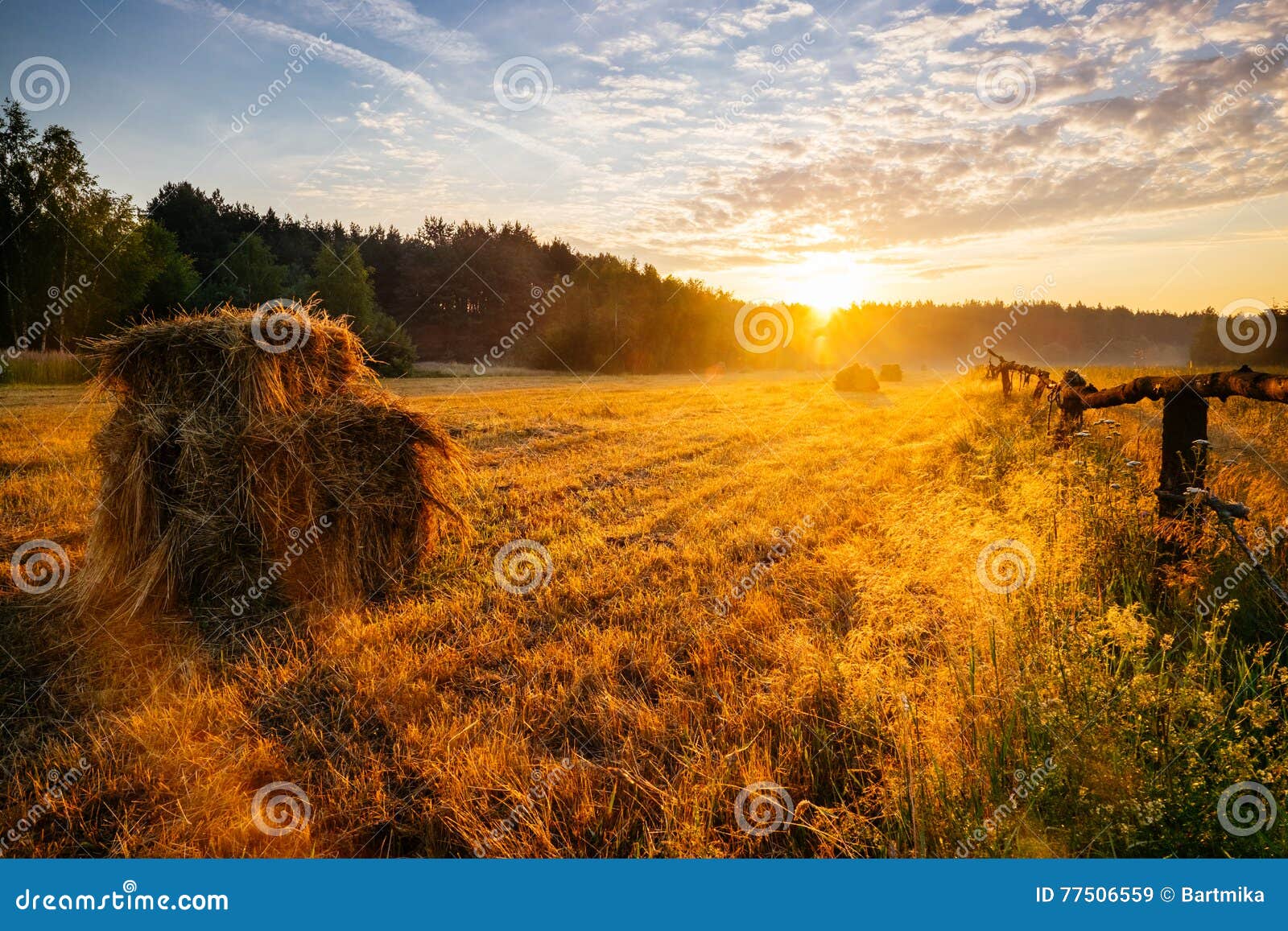 Spring sunrise landscape stock image. Image of harvest - 77506559