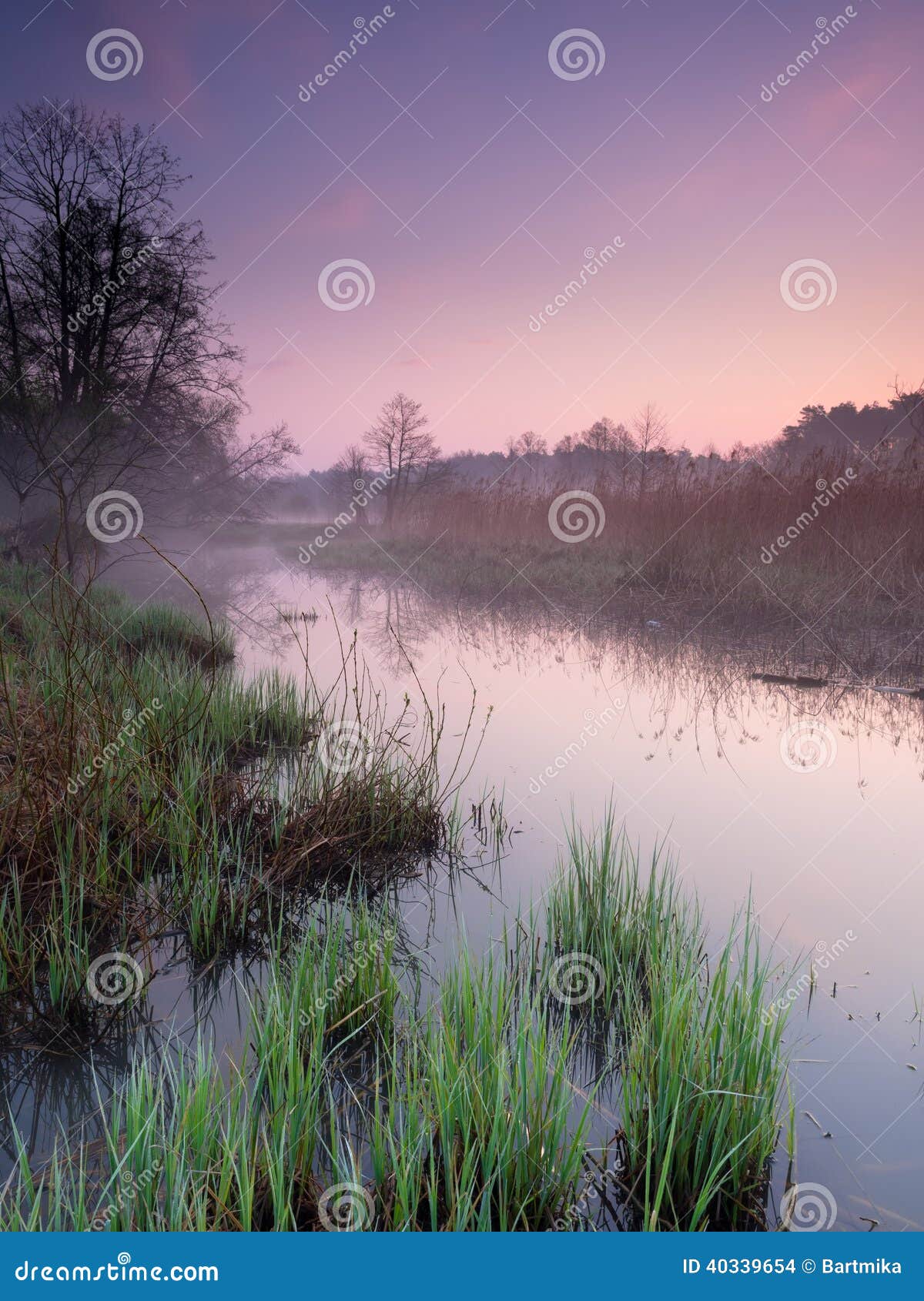 Spring sunrise landscape stock photo. Image of green - 40339654