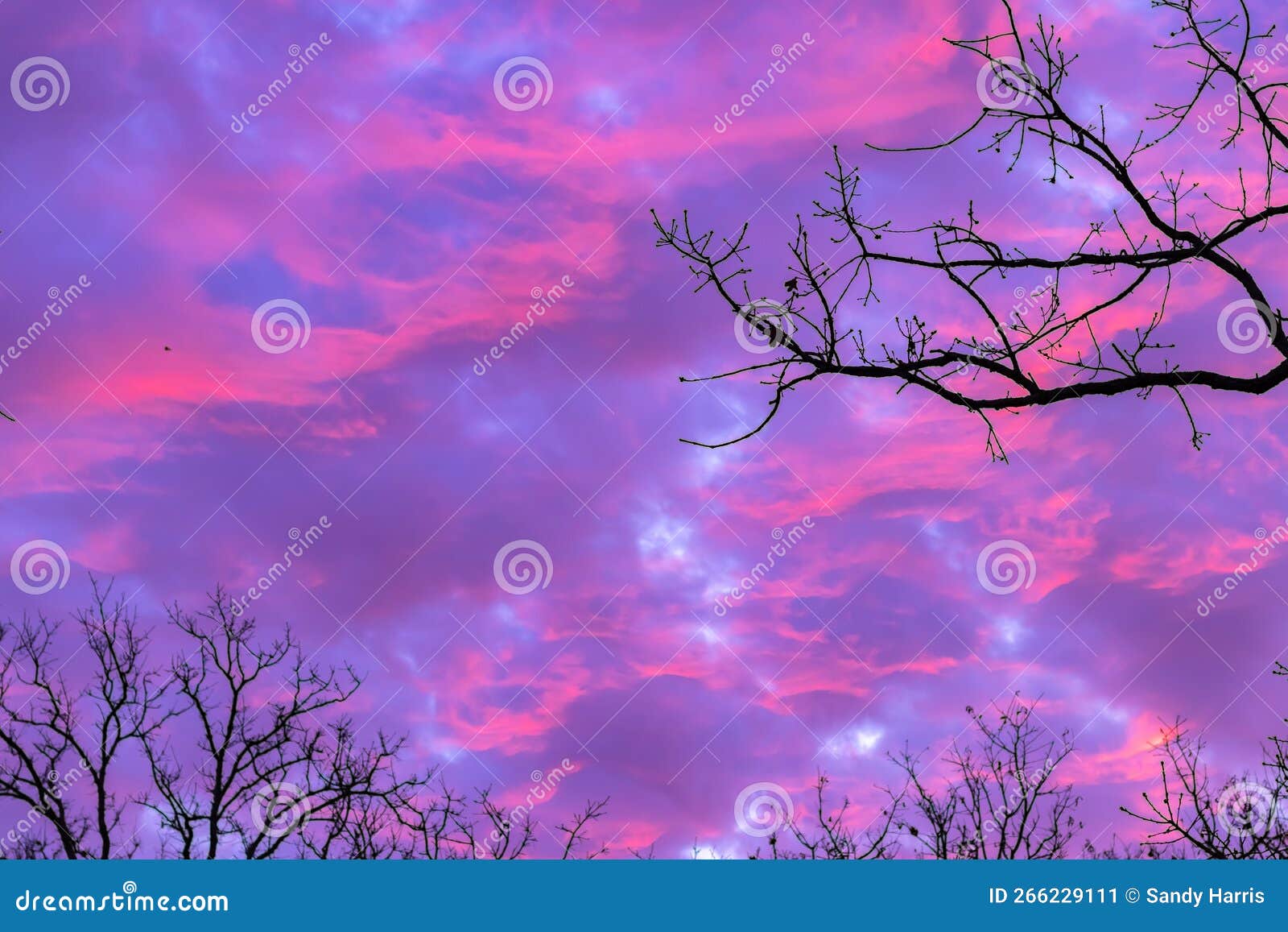 Spring Sunrise in the Midwest Stock Image - Image of afterglow, dawn ...