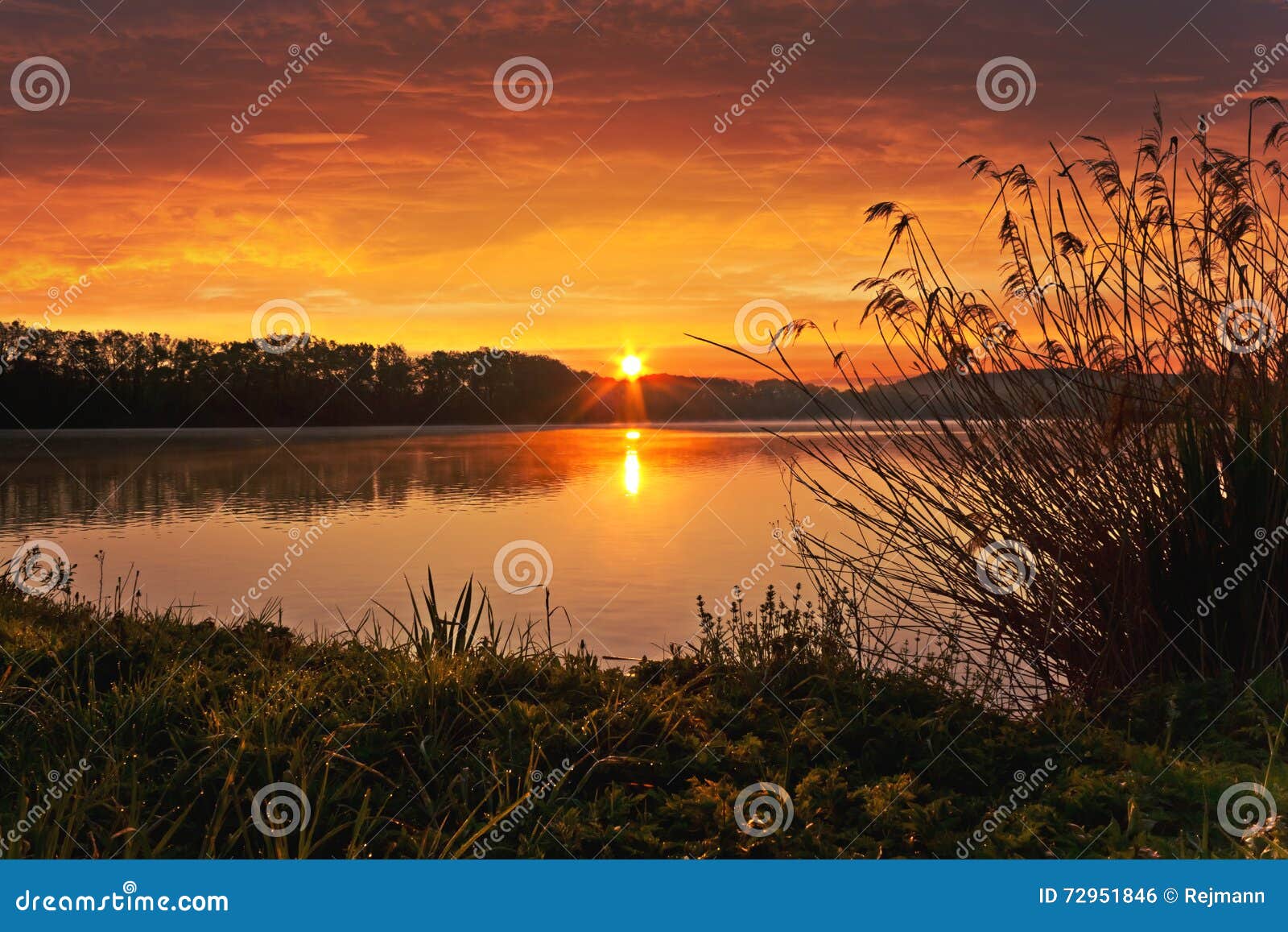 Spring sunrise on the pond stock photo. Image of relaxation - 72951846