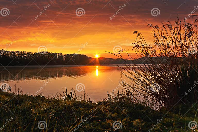Spring sunrise on the pond stock photo. Image of relaxation - 72951846