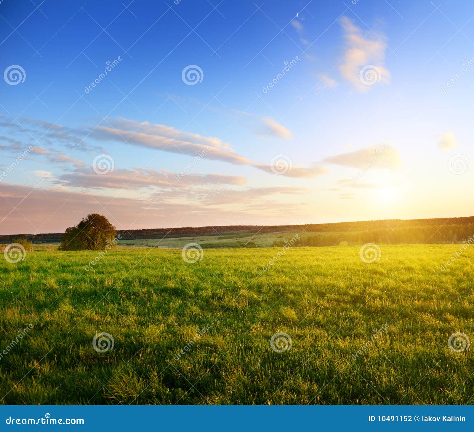 Spring sunset stock photo. Image of idyll, meadow, outdoor - 10491152
