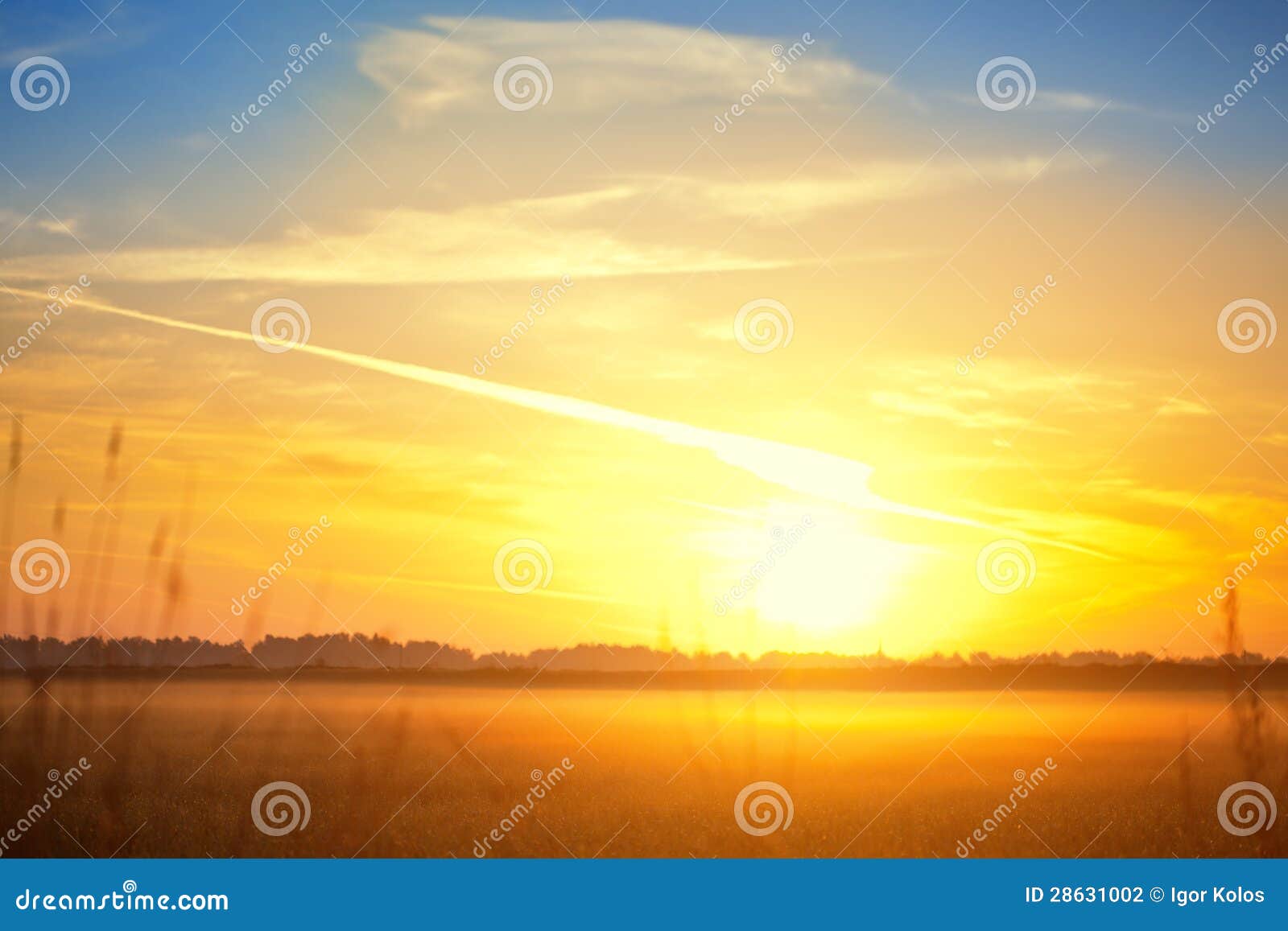 Spring sunset stock photo. Image of field, bright, australia - 28631002