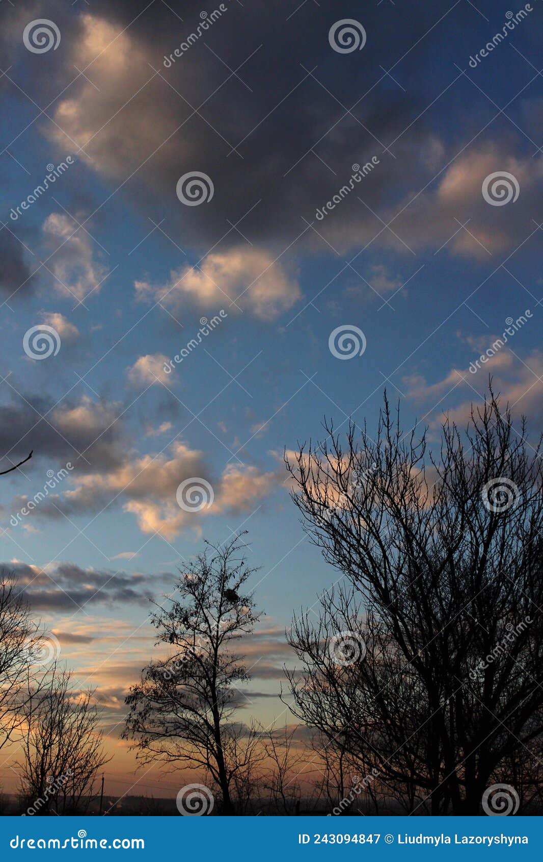 Spring sunset stock image. Image of bare, background - 243094847