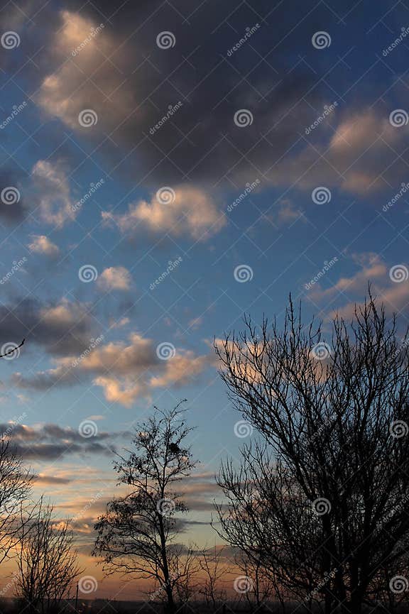 Spring sunset stock image. Image of bare, background - 243094847