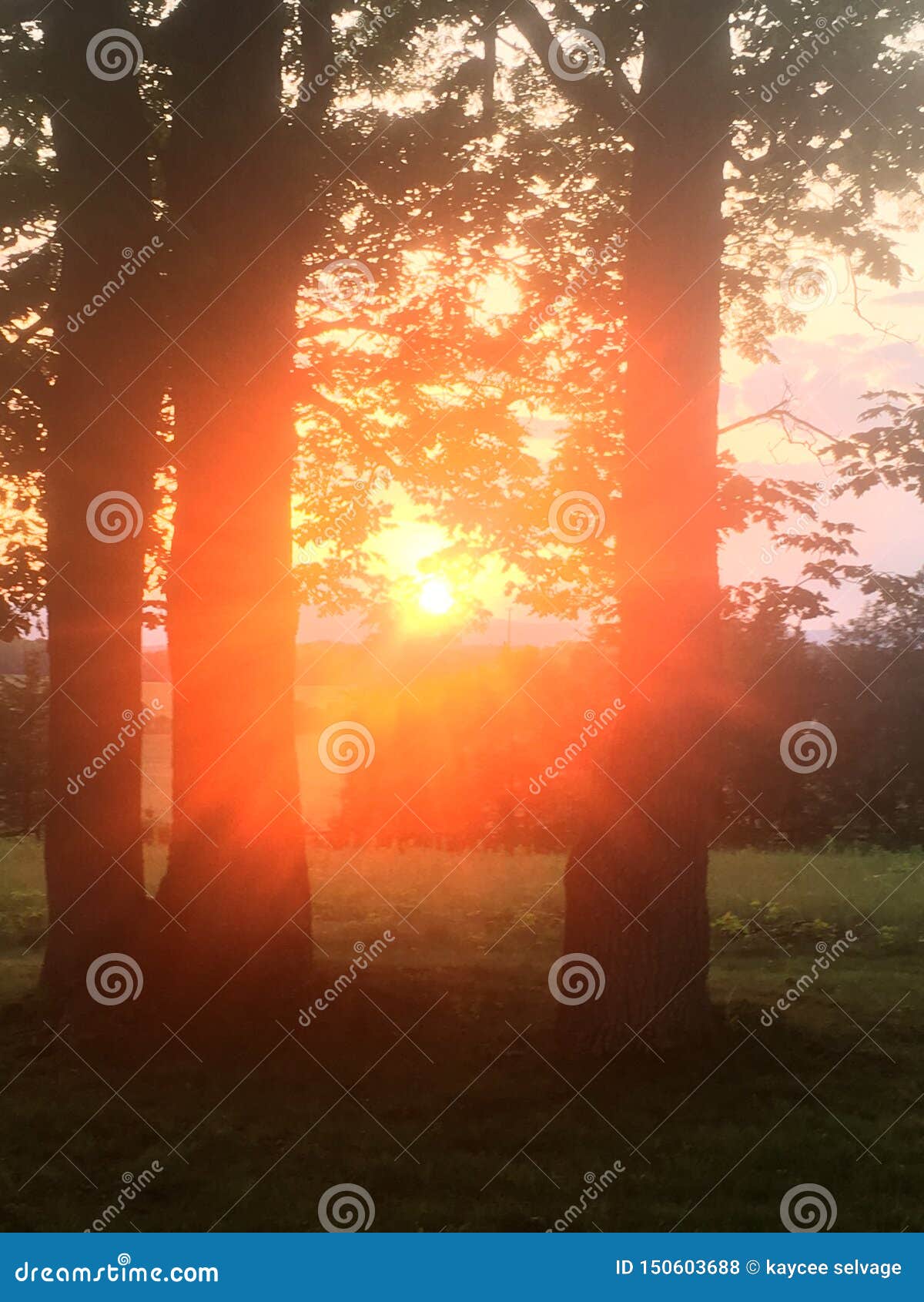 Spring sunset stock photo. Image of fields, sunset, spring - 150603688