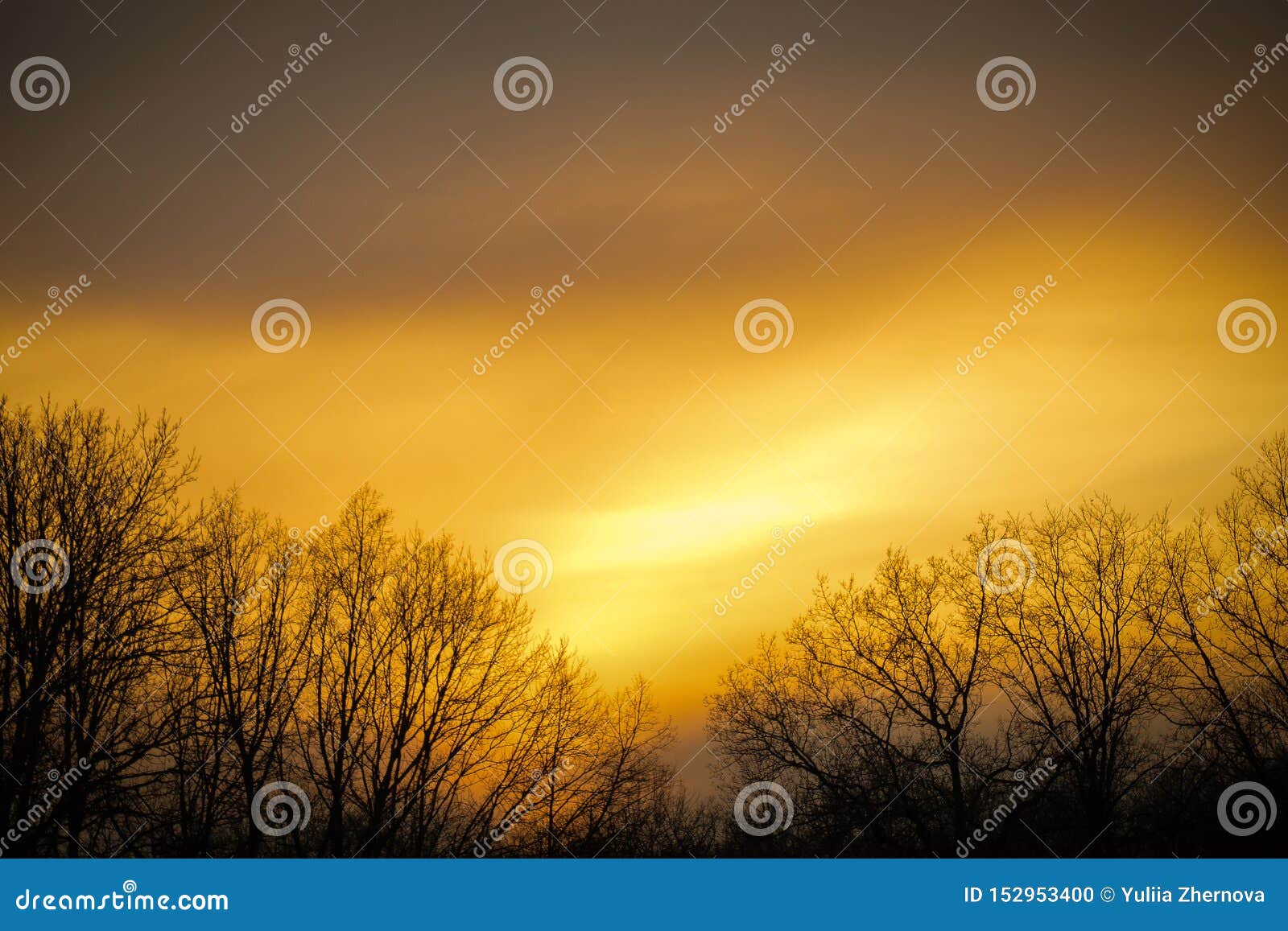 Spring Sunset in the Forest Stock Photo - Image of moments, spring ...