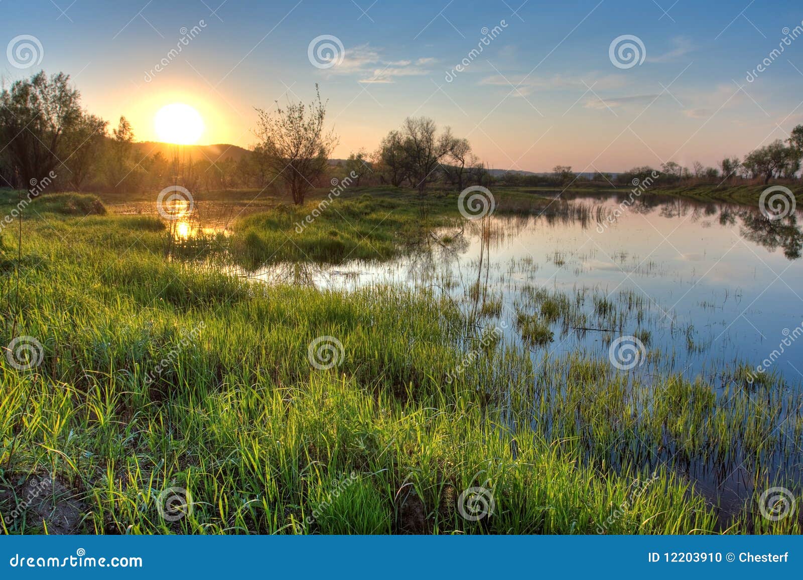 Spring sunset landscape stock photo. Image of nature - 12203910