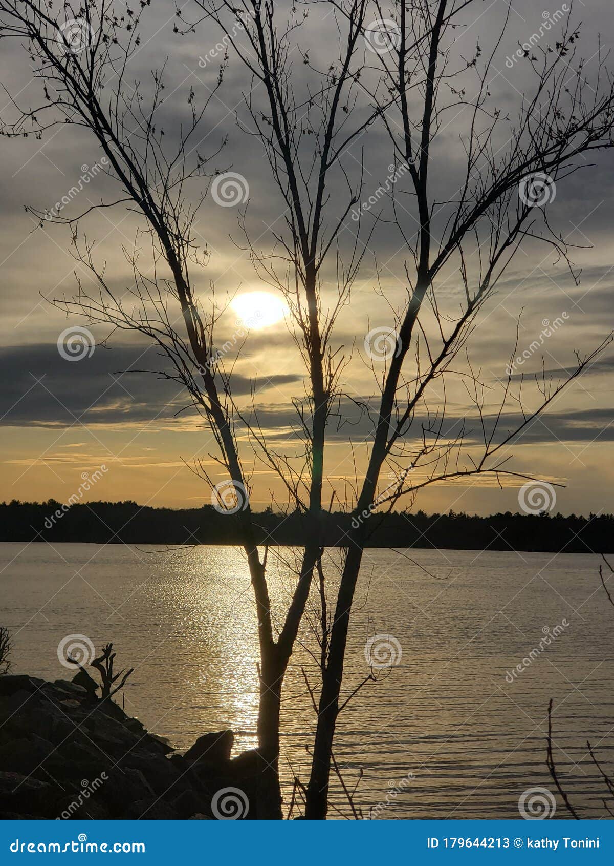 Spring Sunset through the Trees Stock Image - Image of branch, leaf ...
