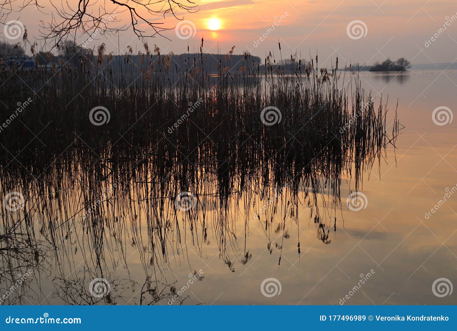 Spring sunset on the water stock image. Image of sunset - 177496989
