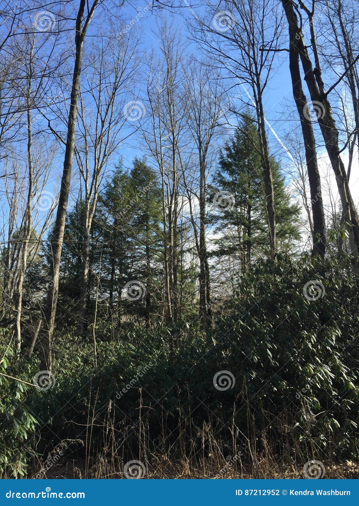 Spring sunshine stock photo. Image of fall, early, fountain - 87212952