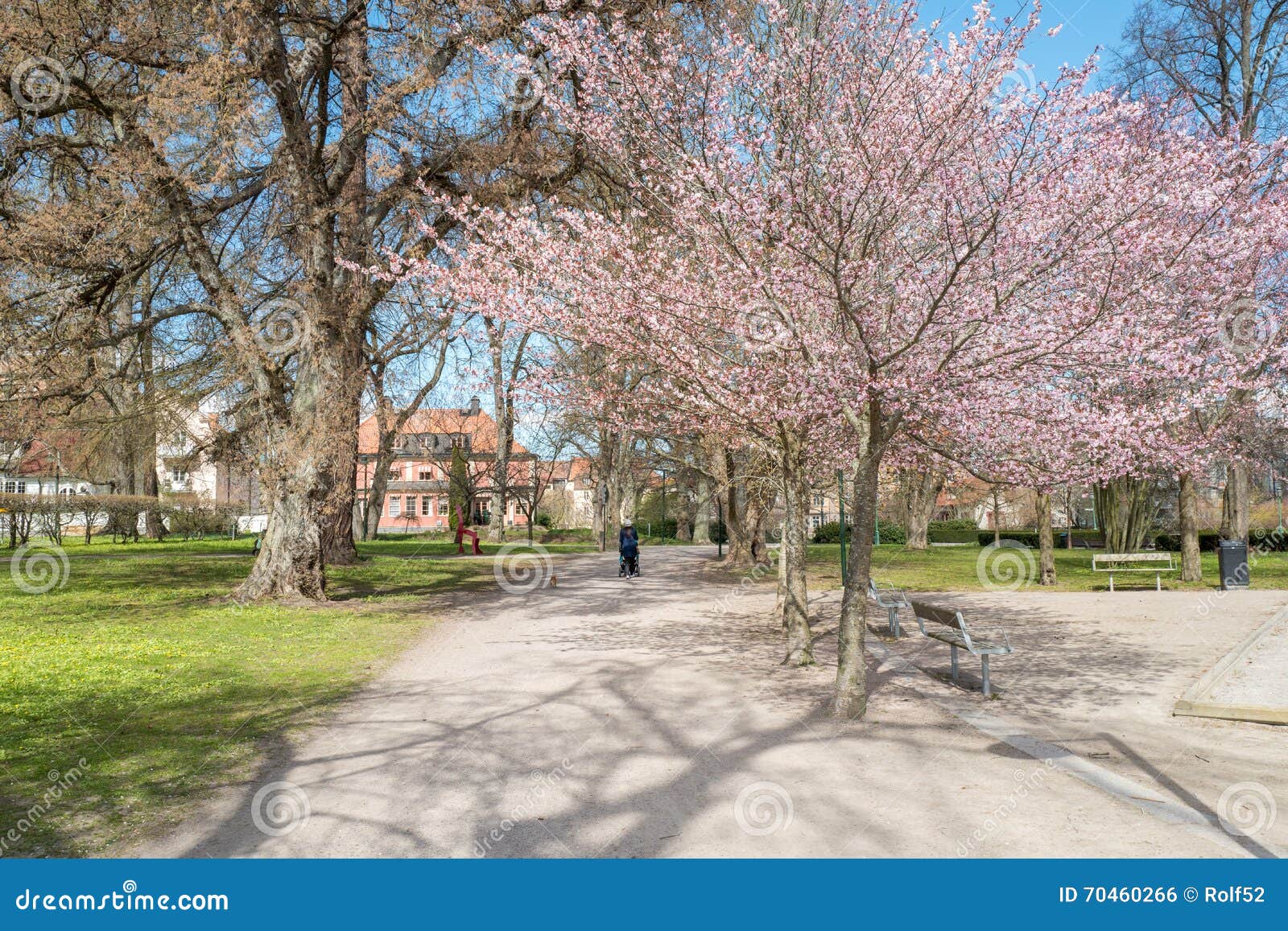 Spring in Sweden editorial photo. Image of spring, scandinavian - 70460266