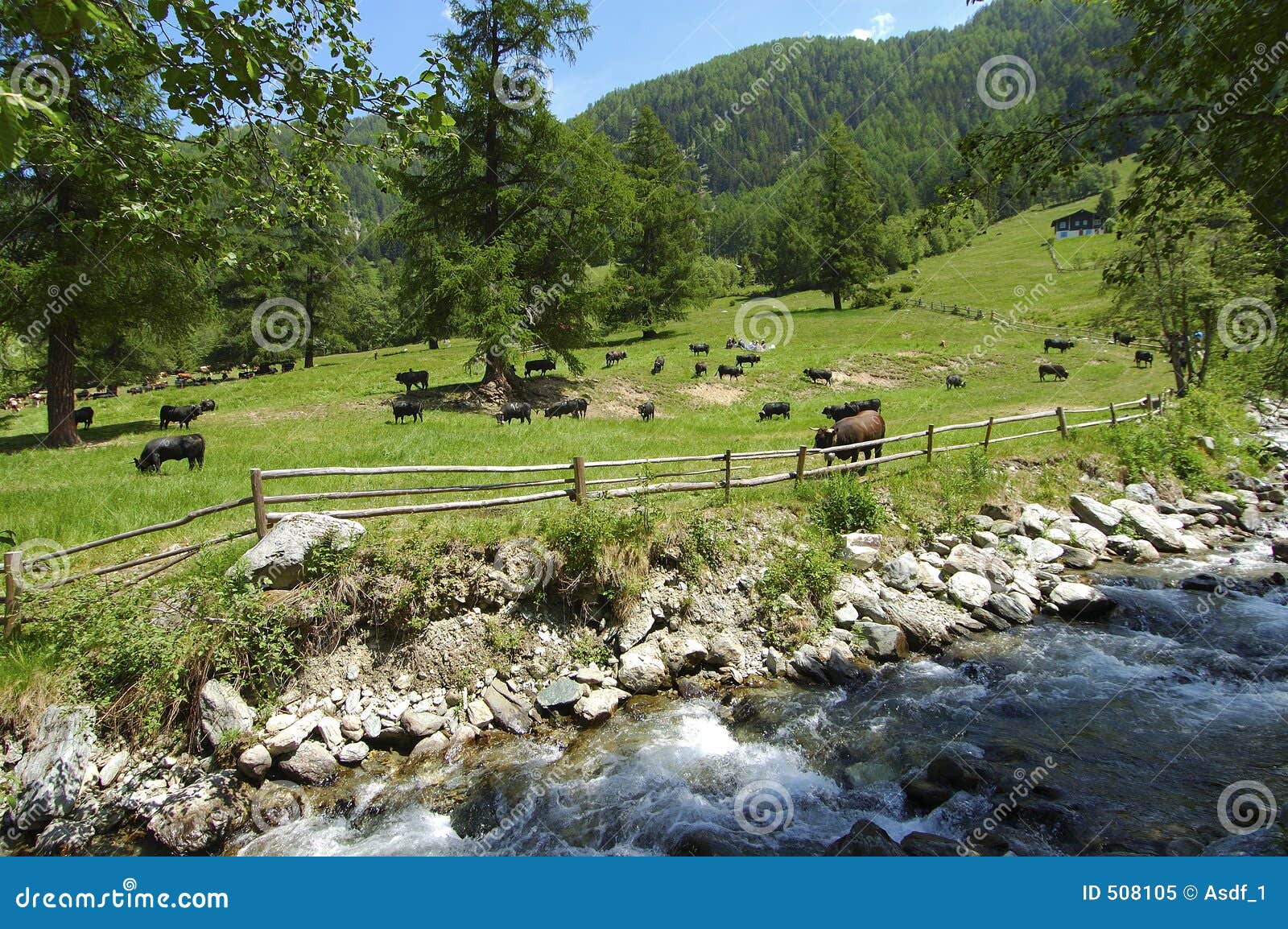 Spring in the Swiss alps stock image. Image of farming - 508105