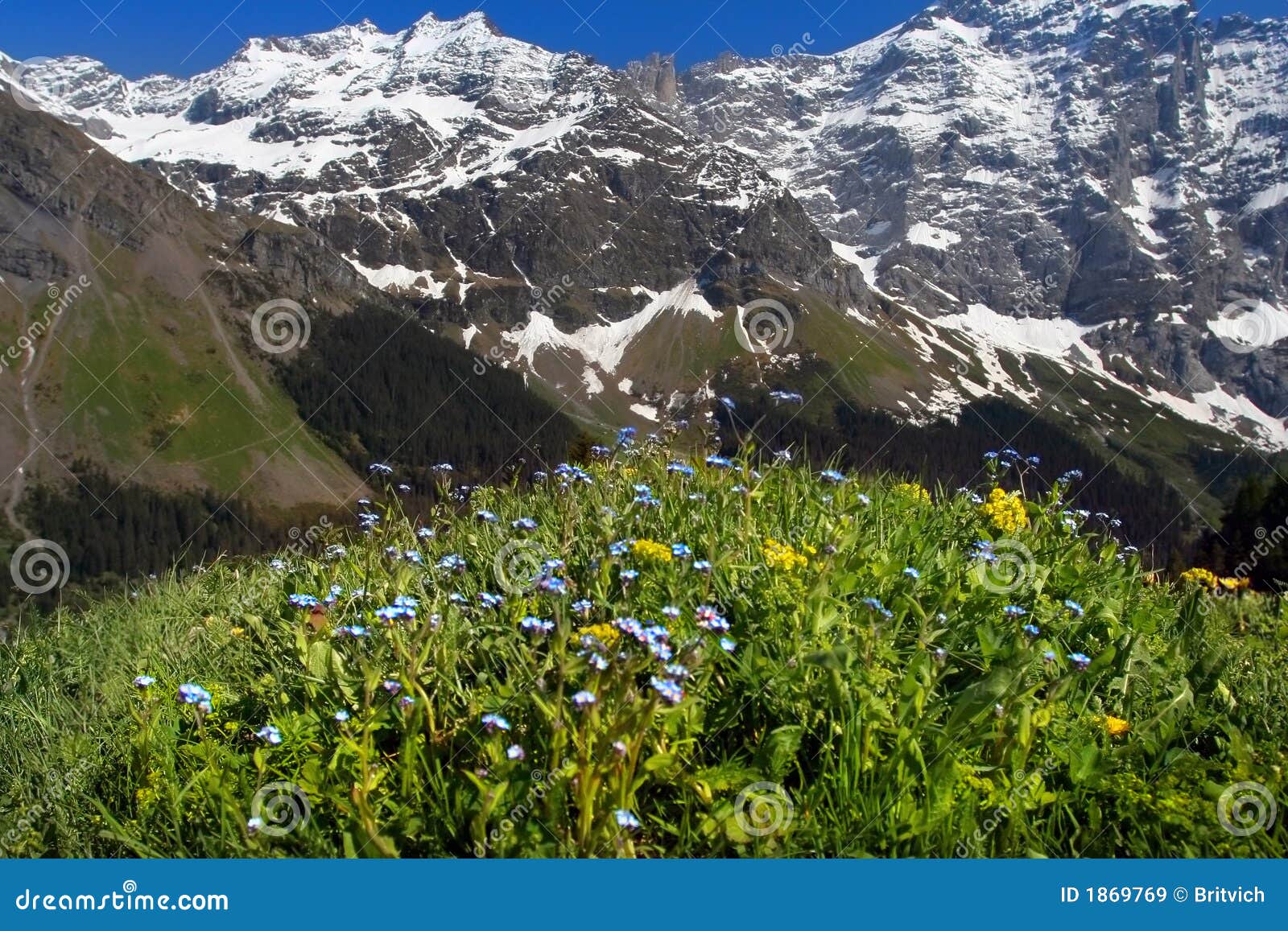 Spring Swiss mountans stock image. Image of meadows, swiss - 1869769