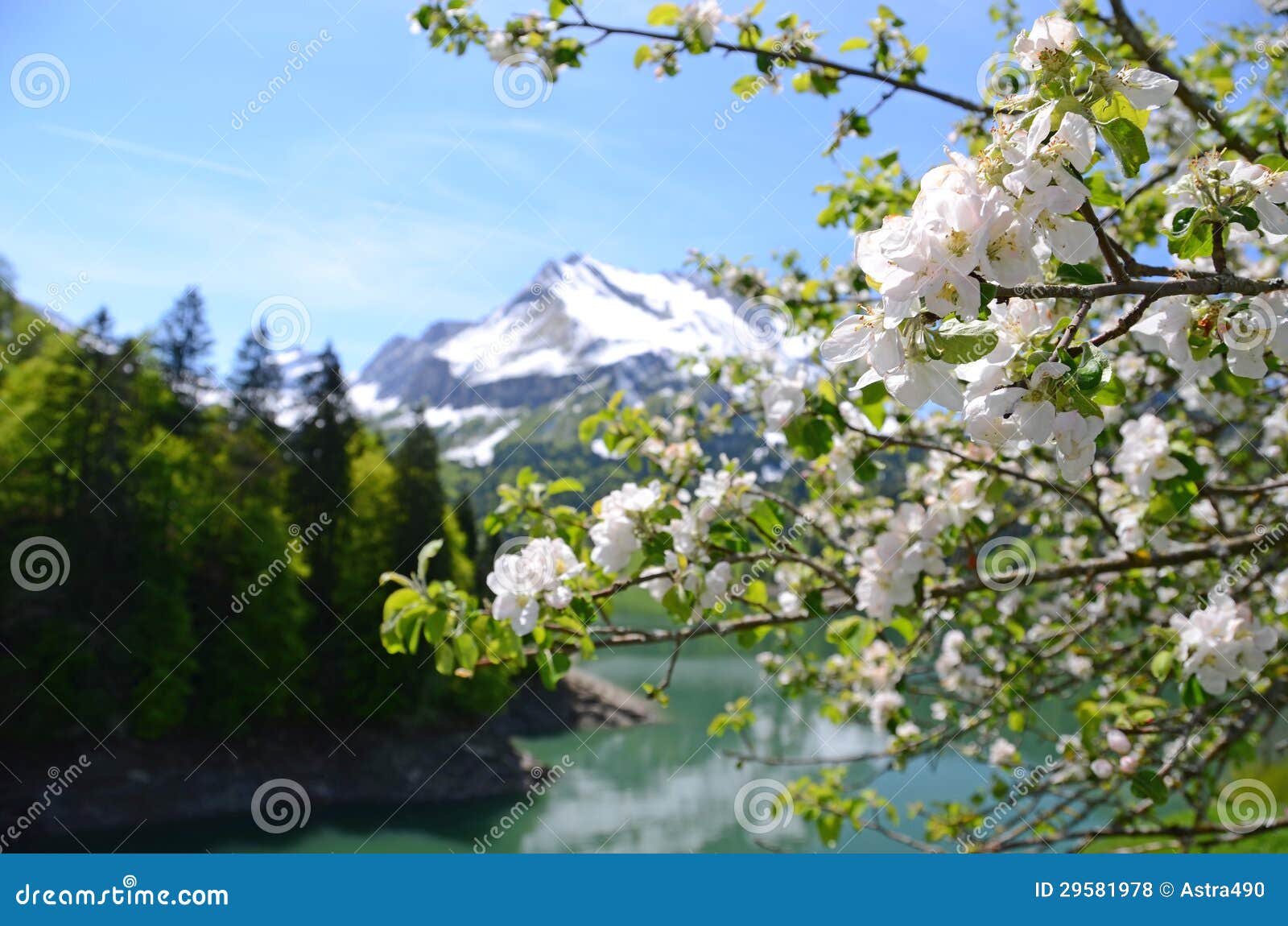 Spring in Switzerland stock photo. Image of gardening - 29581978