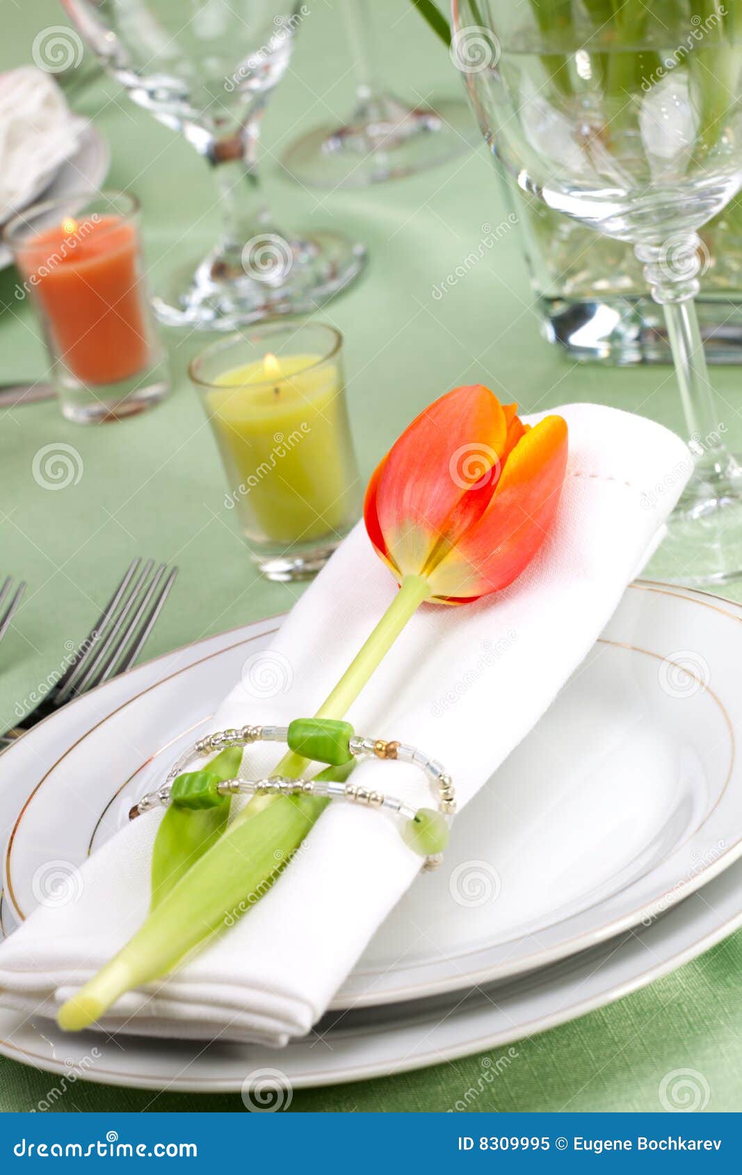 Spring table settings stock image. Image of plates, objects - 8309995