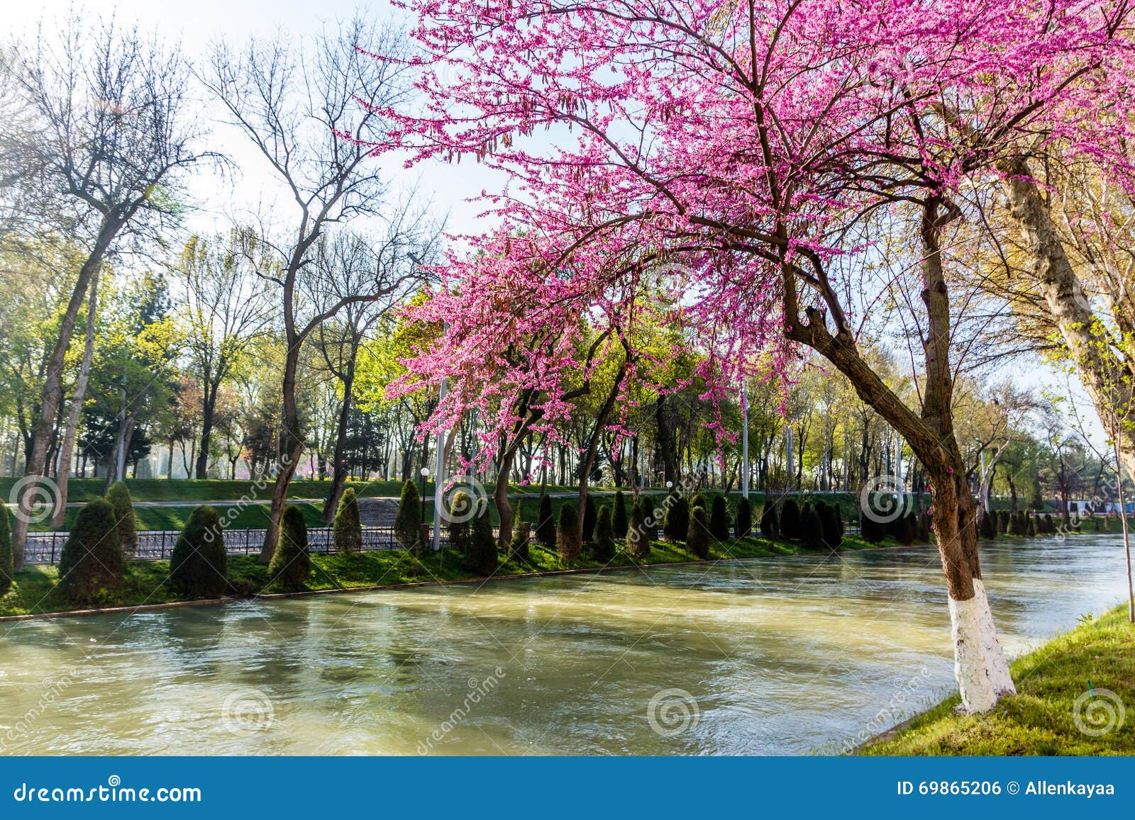 Spring in Tashkent stock photo. Image of cityscape, river - 69865206