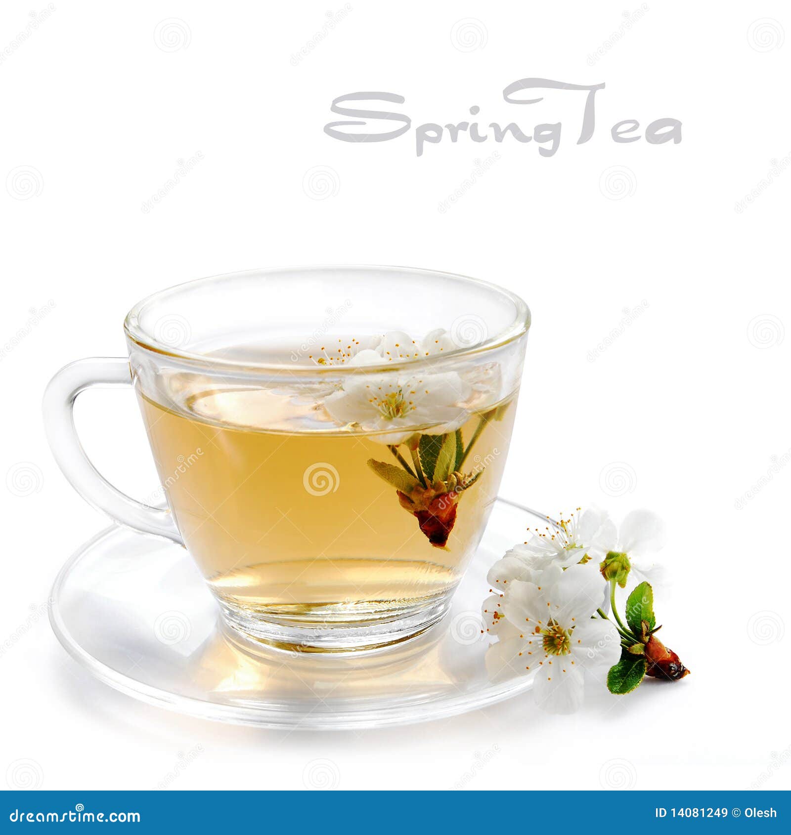 Spring Tea stock image. Image of spring, isolated, water - 14081249